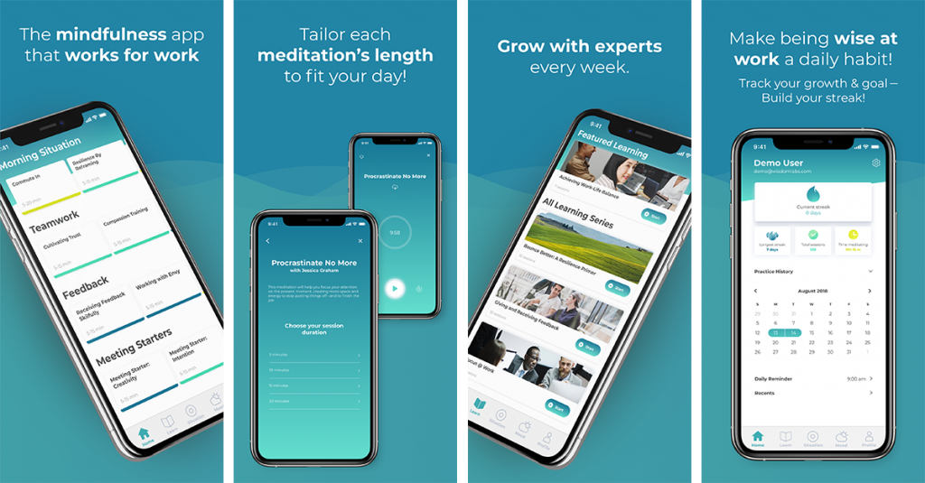 Product Development and Marketing: Making Wisdom Labs Stand Out in the ...